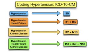 5 Key Facts About Labile Hypertension: Understanding Pulmonary ...